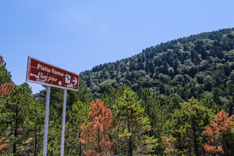 Top 10 vendet më të bukura në Vlorë që duhet të vizitohen